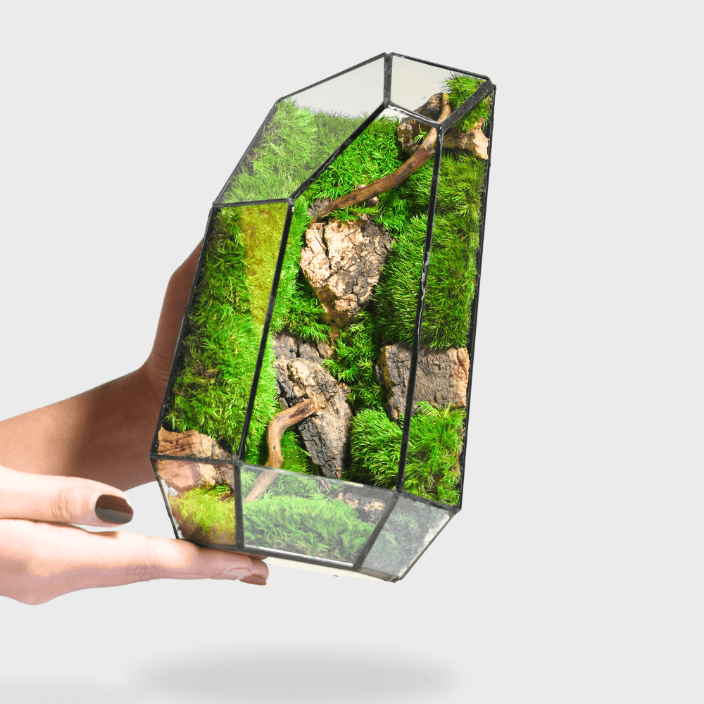 Nature’s Prism – Nature’s Pod