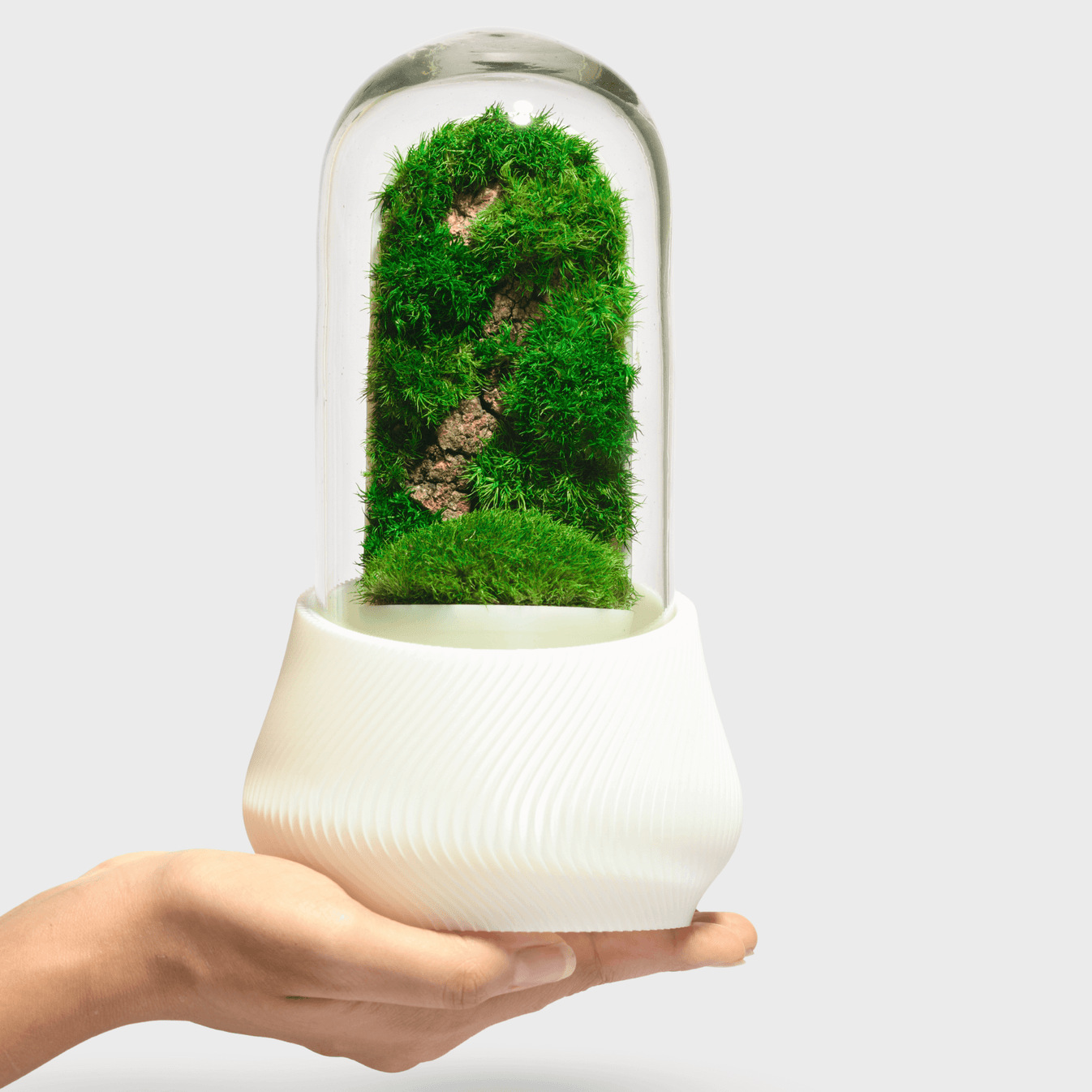 The Pod – Nature’s Pod